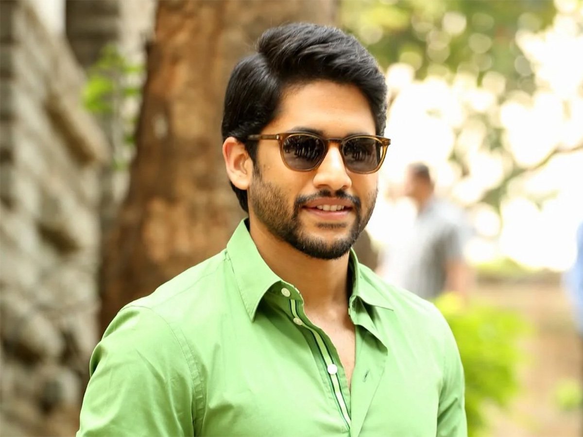 Naga Chaitanya to surprise all in a negative role – Telugu Nestam