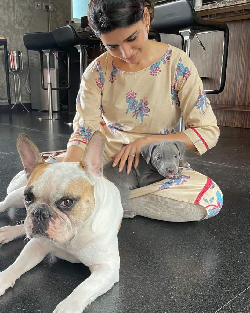 Samantha introduces Saasha to the world via Instagram post – Telugu Nestam